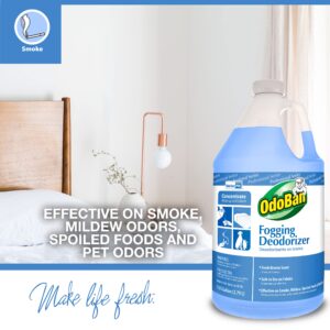 OdoBan Fogmaster Jr. Electric Handheld Fogger and Fogging Deodorizer 2-Pack, 1 Gallon Each