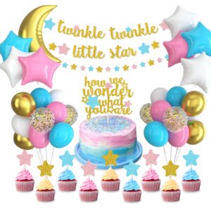 twinkle twinkle little star party decor gender reveal birthday party decorations pinkk blue gold star banner cake topper balloons moon and star boy or girl he or she baby shower supplies