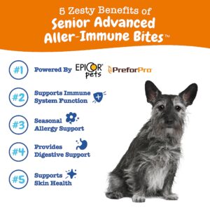 Zesty Paws Dog Allergy Relief - Anti Itch Supplement - Omega 3 Probiotics for Dogs - Digestive Health - Soft Chews for Skin & Seasonal Allergies - with Epicor Pets - Senior - Salmon - 90 Count