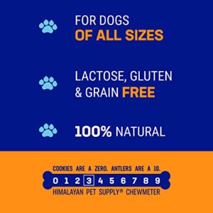 Himalayan Dog Chew Yak Cheese Dog Chews, Lactose Free & Grain Free, USA Made, For All Dog Breeds, Medium Density Cheese Chew, Resealable Pouch with 3 YUM Treats, Peanut Butter Flavor