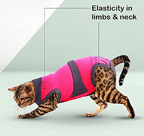 MAXX Cat Post Surgery Suit – Breathable Cat Onesie Surgical Recovery Suit for Wounds – E-Collar Alternative (Pink Grey, XS)