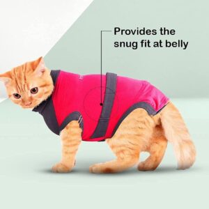 MAXX Cat Post Surgery Suit – Breathable Cat Onesie Surgical Recovery Suit for Wounds – E-Collar Alternative (Pink Grey, XS)