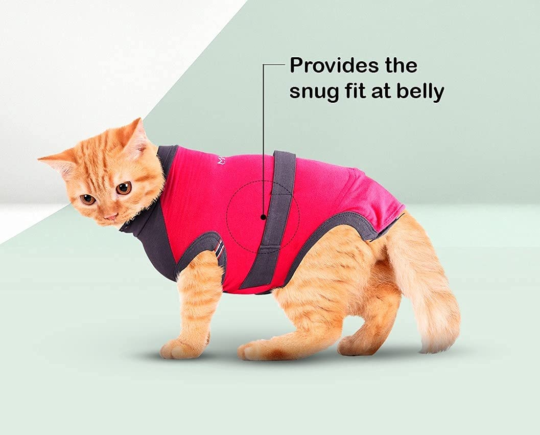 MAXX Cat Post Surgery Suit – Breathable Cat Onesie Surgical Recovery Suit for Wounds – E-Collar Alternative (Pink Grey, XS)