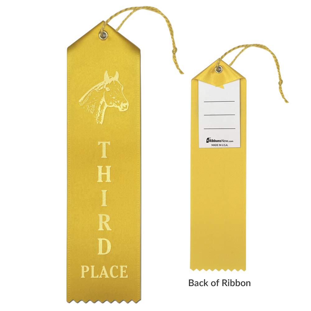 RibbonsNow Horse Show Ribbons 1st - 6th Place - 72 Total Ribbons - 12 Each Place with Card & String