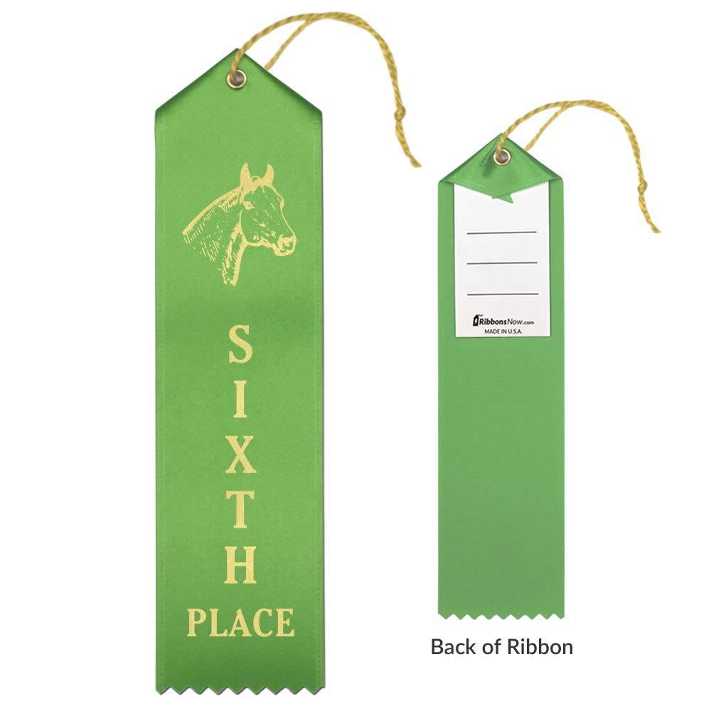 RibbonsNow Horse Show Ribbons 1st - 6th Place - 72 Total Ribbons - 12 Each Place with Card & String