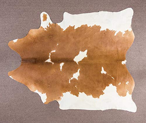 Brown and White Cowhide Rug Natural Cow Skin Cow Hide Leather Area Rug Hair On, 5 ft X 6 ft Premium Brown White Large