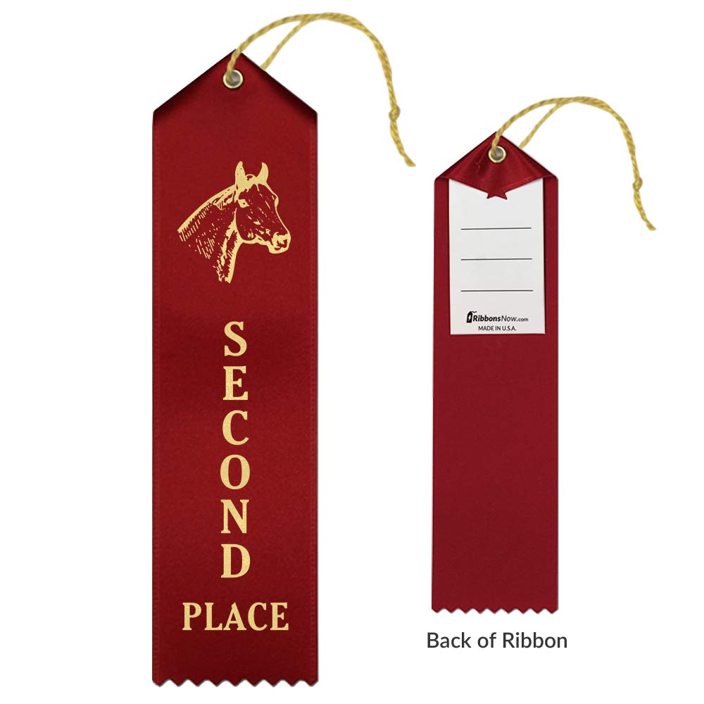 RibbonsNow Horse Show Ribbons 1st - 6th Place - 72 Total Ribbons - 12 Each Place with Card & String