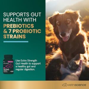 VetriScience Vetri Mega Probiotics for Dogs & Cats, 7.5 Billion CFU â€“ 8-Strain Cat & Dog Probiotics for Digestive Health, Gut Health, Immune Support & Seasonal Allergies â€“ 180 Capsules