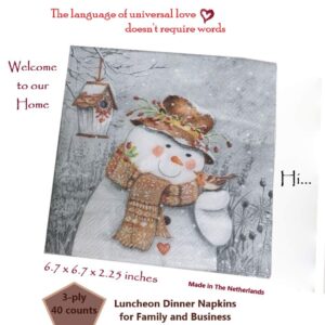 20-ct 13x13 Christmas Napkins with Snowman Napkins Christmas Paper Napkins Christmas Napkins Paper Christmas Cocktail Napkins Thanksgiving Napkins Decorative Decoupage Bird Winter Napkins