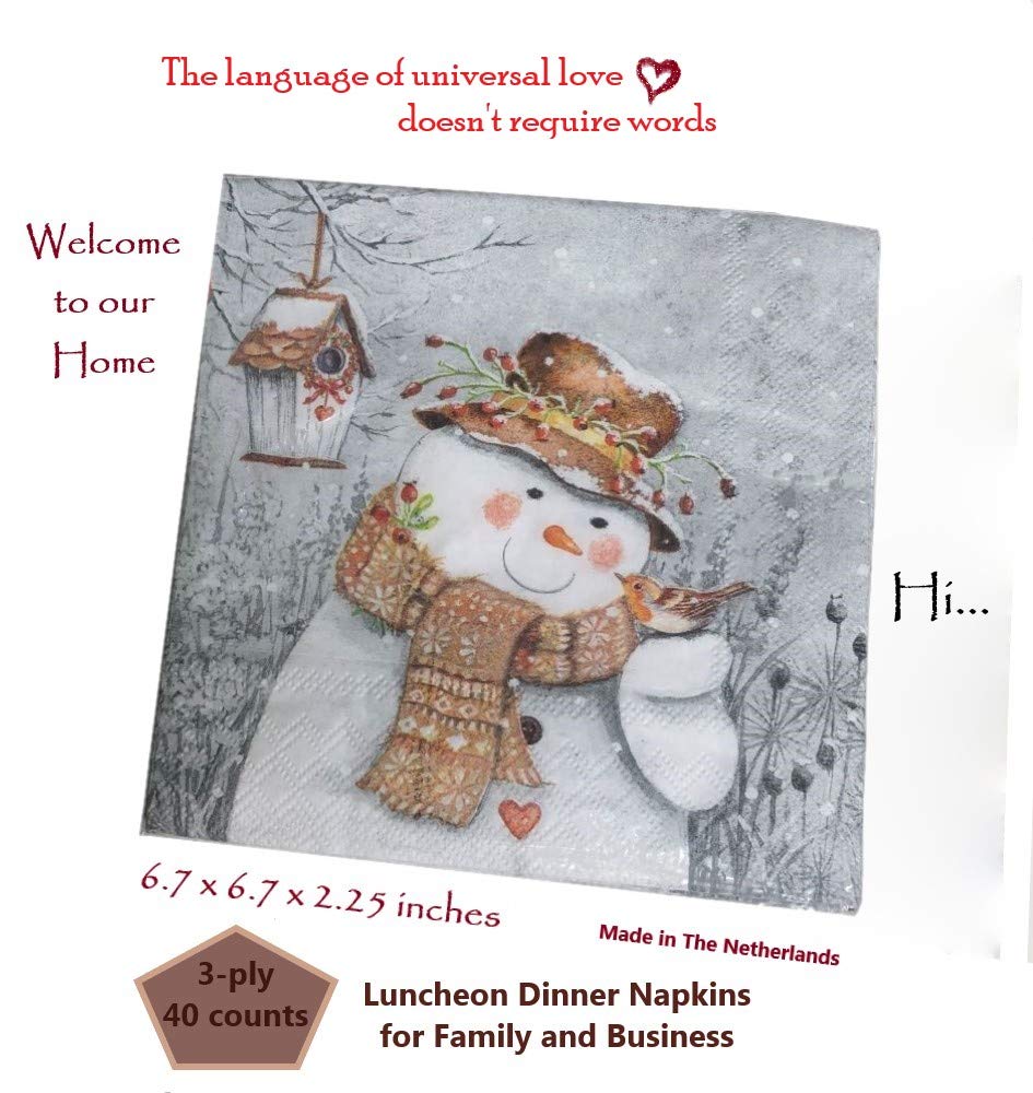 20-ct 13x13 Christmas Napkins with Snowman Napkins Christmas Paper Napkins Christmas Napkins Paper Christmas Cocktail Napkins Thanksgiving Napkins Decorative Decoupage Bird Winter Napkins