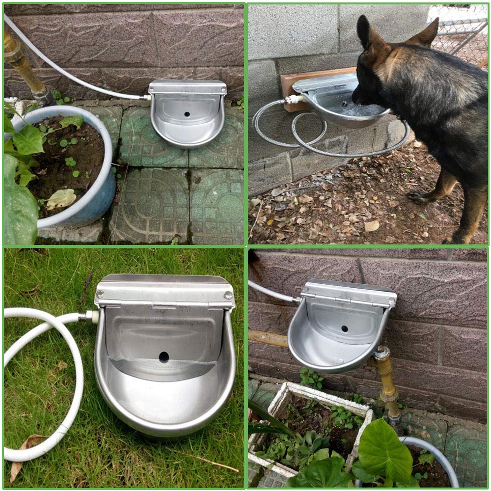 CPROSP Automatic Cow Drinking Water Bowl with GHT 3/4'' Adapter, with Pipe Hose Stainless Steel Pet Supplies G1/2" M20/20mm Thread