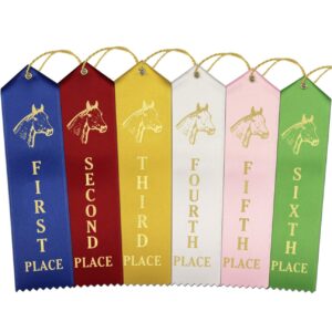 ribbonsnow horse show ribbons 1st - 6th place - 72 total ribbons - 12 each place with card & string