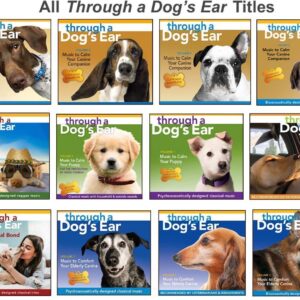 iCalmPet | Through a Dog's Ear: A Calm Variety |3-CD Box Set | 3-hrs | Reduces anxiety with solo piano, classical trios, and reggae rhythms to stay calmer longer