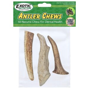 exotic nutrition antler chews - safe small animal chew - natural source of healthy minerals - chinchilla, hamster, degu, prairie dog, squirrel and other chewing pets