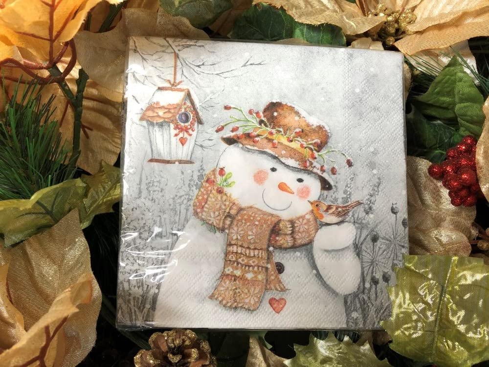 20-ct 13x13 Christmas Napkins with Snowman Napkins Christmas Paper Napkins Christmas Napkins Paper Christmas Cocktail Napkins Thanksgiving Napkins Decorative Decoupage Bird Winter Napkins