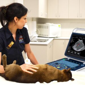 BPU60V Hand-Carried 15" Color Doppler Ultrasound System equine, large animal, small animal, zoo mammal, and marine mammal medicine body scans Abdomen, Reproduction, Gynecology, Cardiology, Small Parts