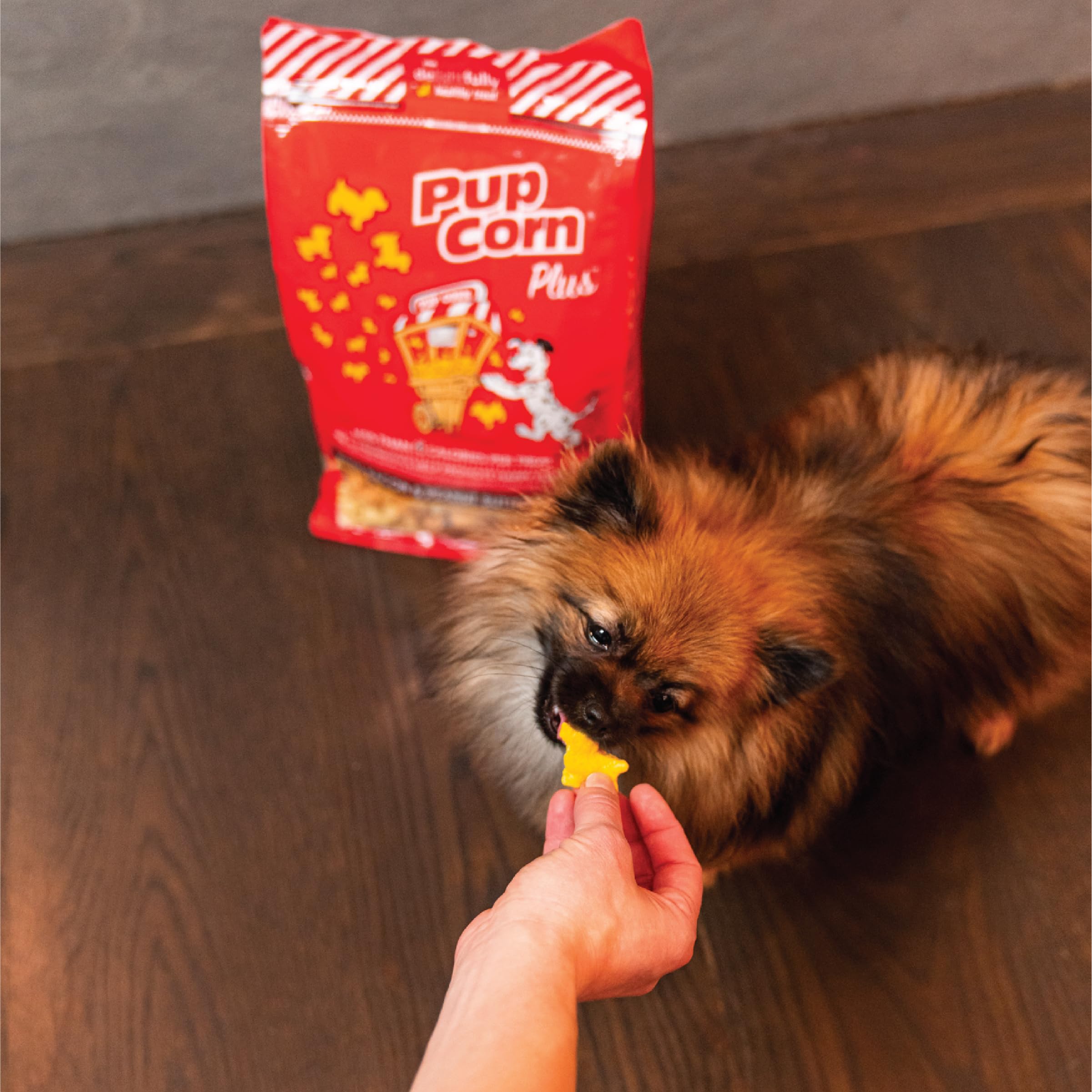 Pup Corn Plus - Puffed Dog Treats with Prebiotics and Probiotics - Bacon & Peanut Butter (24oz) - Made in USA