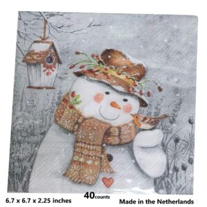 20-ct 13x13 Christmas Napkins with Snowman Napkins Christmas Paper Napkins Christmas Napkins Paper Christmas Cocktail Napkins Thanksgiving Napkins Decorative Decoupage Bird Winter Napkins