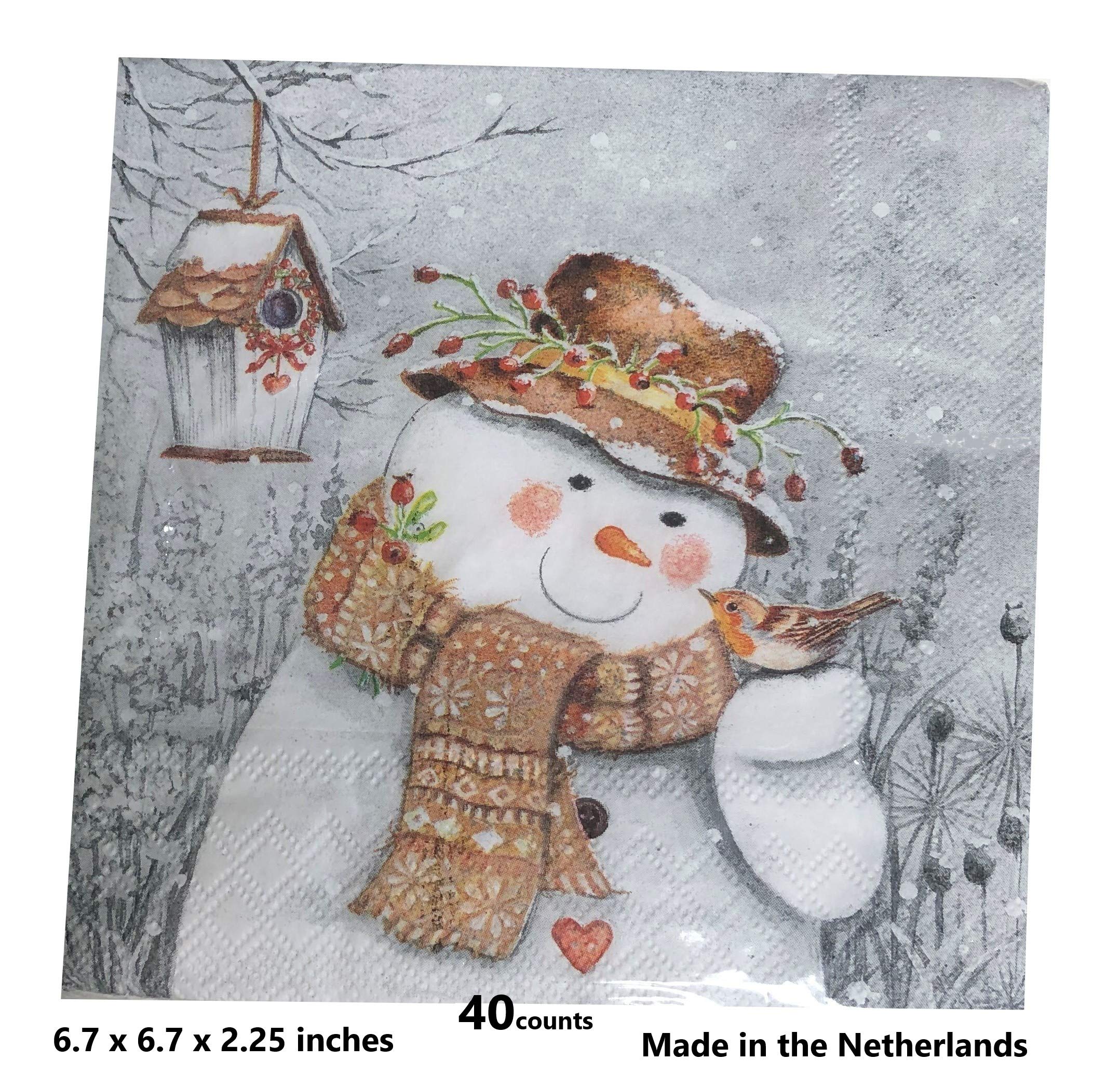 20-ct 13x13 Christmas Napkins with Snowman Napkins Christmas Paper Napkins Christmas Napkins Paper Christmas Cocktail Napkins Thanksgiving Napkins Decorative Decoupage Bird Winter Napkins