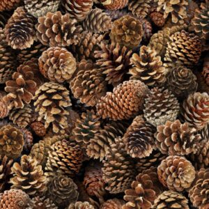 pine cone fabric landscape medley in brown from elizabeth's studios 100% cotton