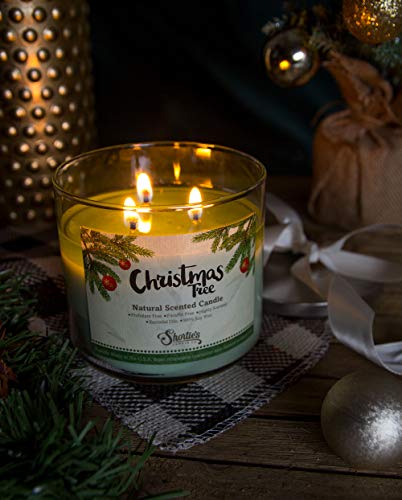 Bayberry Fir Natural 3 Wick Candle, Essential Fragrance Oils, 100% Soy, Phthalate & Paraben Free, Clean Burning, 14.5 Oz.