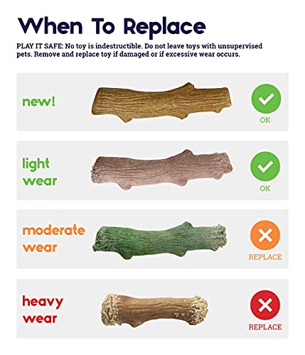 Petstages Dog Chew Toys – Safe and Long Lasting Chewable Sticks - Tough Alternative Chewing Sticks for Dogs