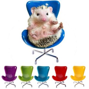 hedgehog chair mini plastic swivel seat small animal toys habitat decor cage accessories hedgehog supplies photo props chair toy for hedgehog,bird,parrot,mouse,chinchilla, rat,gerbil,dwarf hamster