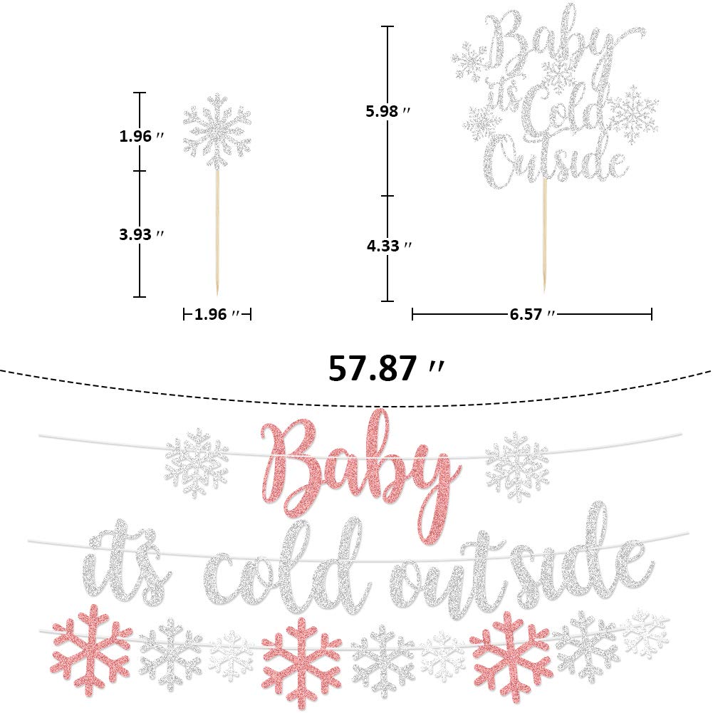 Baby It’s Cold Outside Party Decorations, Banner, Snowflake Balloons, Garland for Winter Wonderland Baby Shower, Christmas, Winter Birthday Party Supplies, Silver (Pink)