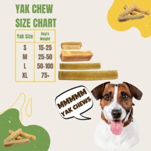 EcoKind Premium Gold Yak Cheese Himalayan Dog Chews, Healthy Dog Treats, Yak Chews for Small Dogs, All Natural, Long Lasting Dog Chew for Aggressive Chewers, High Protein Puppy Treat, Small - 8 Chews