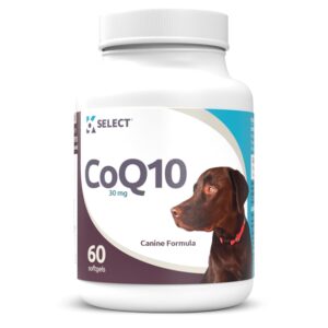 k9 select coq10 supplement for dogs, 30mg - 60 soft gels per bottle - pet supplement, coq10 for dogs, nutritional softgels for canine heart health, coq10 for cardiovascular & gum health, energy