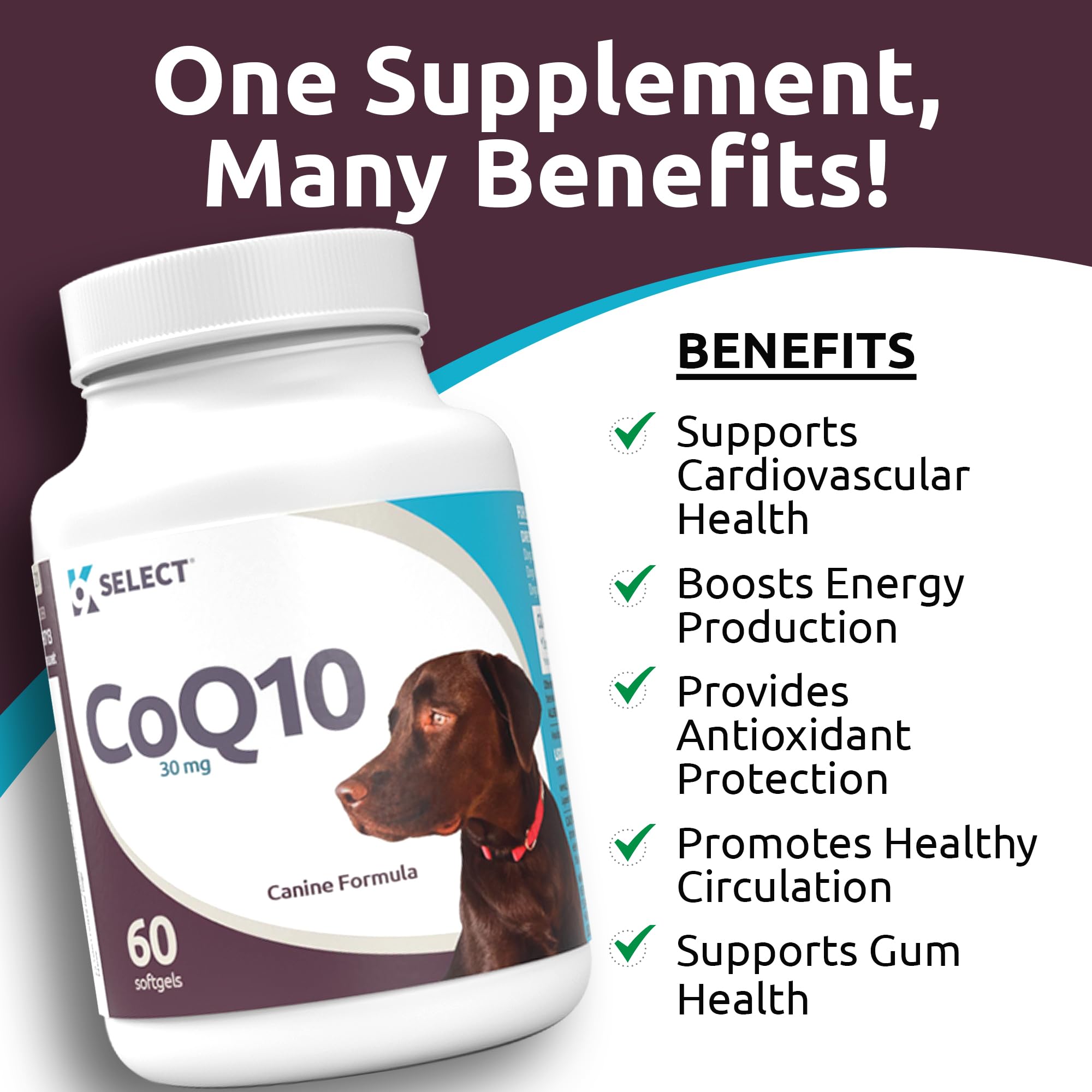 K9 Select CoQ10 Supplement for Dogs, 30mg - 60 Soft Gels per Bottle - Pet Supplement, CoQ10 for Dogs, Nutritional Softgels for Canine Heart Health, CoQ10 for Cardiovascular & Gum Health, Energy