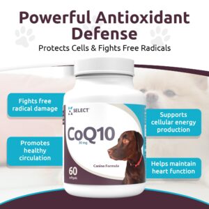 K9 Select CoQ10 Supplement for Dogs, 30mg - 60 Soft Gels per Bottle - Pet Supplement, CoQ10 for Dogs, Nutritional Softgels for Canine Heart Health, CoQ10 for Cardiovascular & Gum Health, Energy