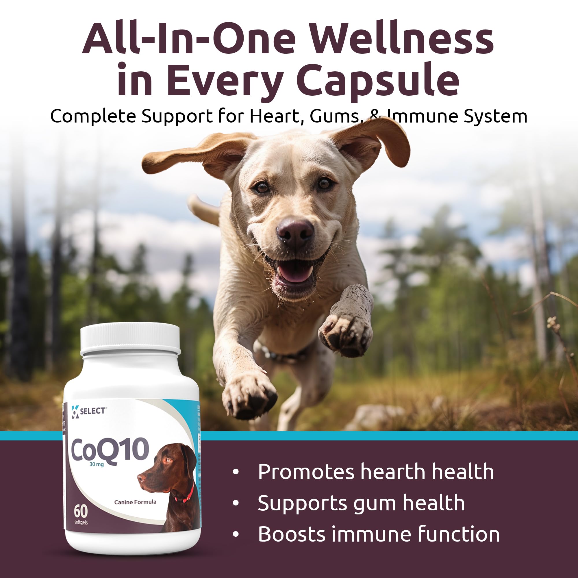 K9 Select CoQ10 Supplement for Dogs, 30mg - 60 Soft Gels per Bottle - Pet Supplement, CoQ10 for Dogs, Nutritional Softgels for Canine Heart Health, CoQ10 for Cardiovascular & Gum Health, Energy