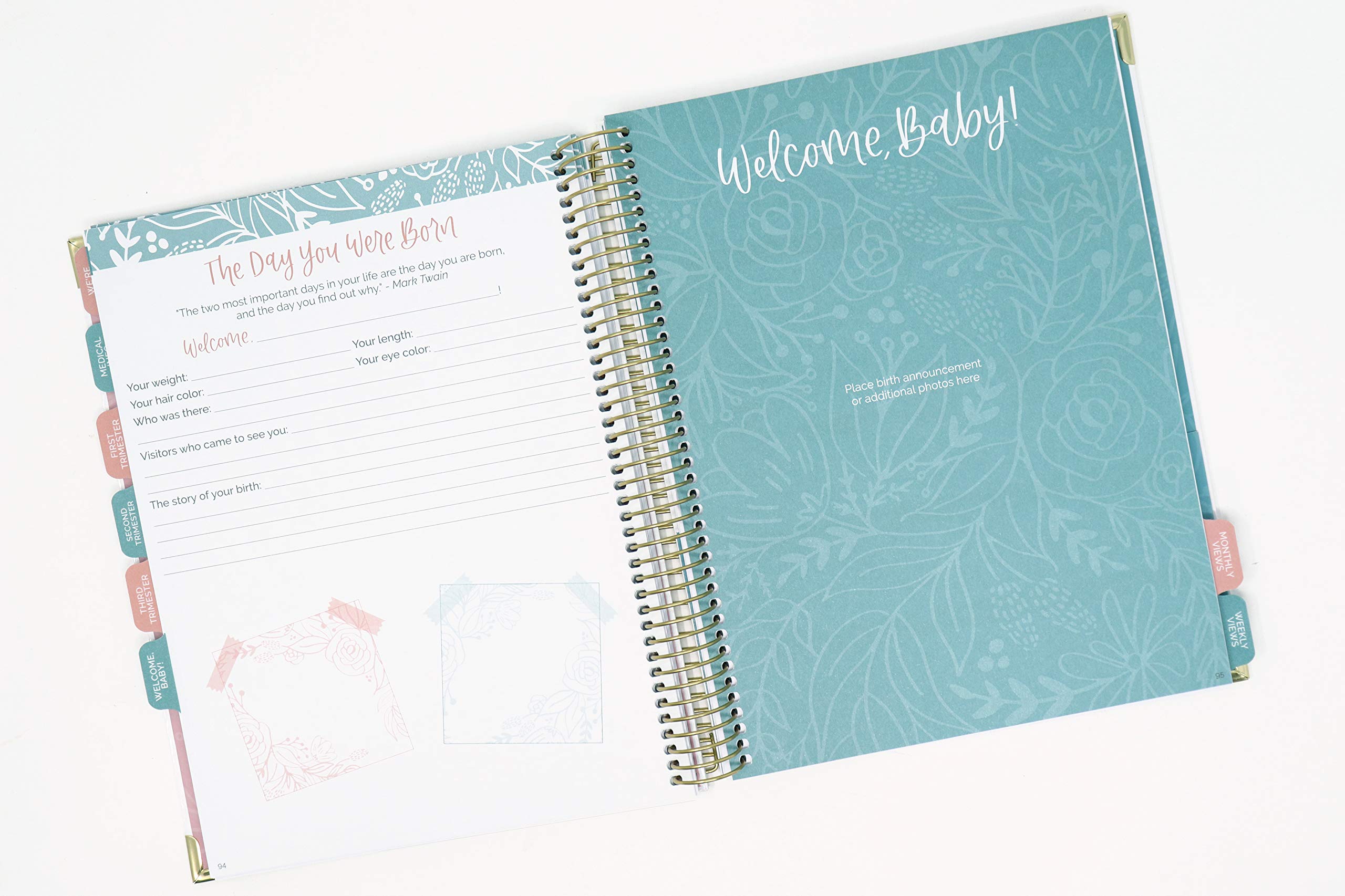 bloom daily planners New Pregnancy and Baby's First Year Calendar Planner & Keepsake Journal with Stickers - Hardcover Scrapbook Memory Book Organizer - Undated - 8” x 10" - Green & Pink