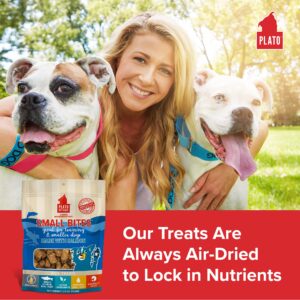 PLATO Small Bites Dog Treats, Natural Bite Sized Real Meat & Salmon Flavor, Grain Free & High in Protein, Air Dried Authentic Ingredients, 2 Calories Per Treat, Made in the USA, 6 Ounces