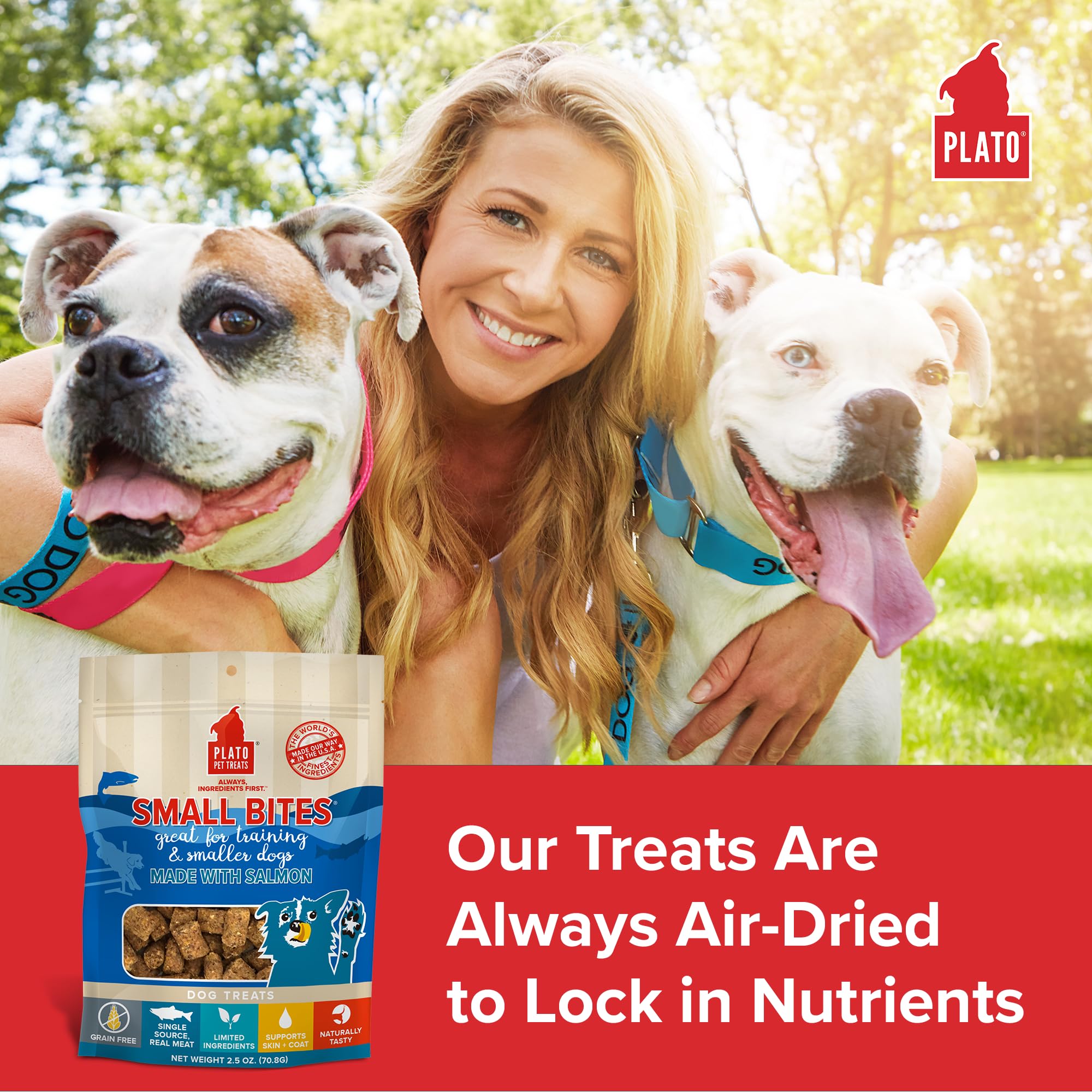 PLATO Small Bites Dog Treats, Natural Bite Sized Real Meat & Salmon Flavor, Grain Free & High in Protein, Air Dried Authentic Ingredients, 2 Calories Per Treat, Made in the USA, 6 Ounces