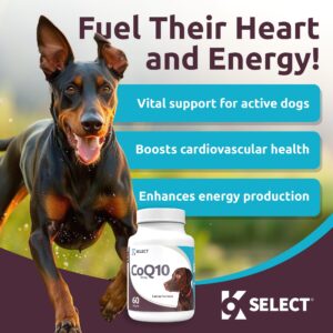 K9 Select CoQ10 Supplement for Dogs, 30mg - 60 Soft Gels per Bottle - Pet Supplement, CoQ10 for Dogs, Nutritional Softgels for Canine Heart Health, CoQ10 for Cardiovascular & Gum Health, Energy