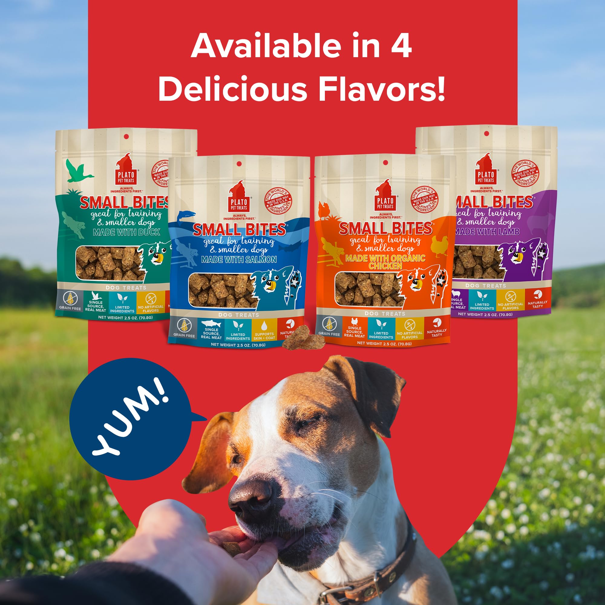 PLATO Small Bites Dog Treats, Natural Bite Sized Real Meat & Salmon Flavor, Grain Free & High in Protein, Air Dried Authentic Ingredients, 2 Calories Per Treat, Made in the USA, 6 Ounces