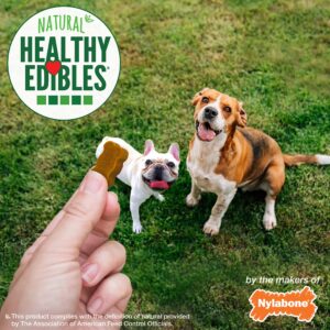 Nylabone Healthy Edibles Chewy Bites Dog Training Treats Chicken 6 oz.