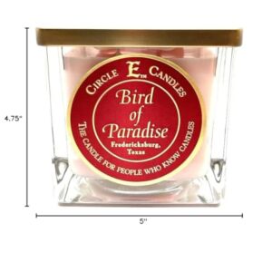 Circle E Candles, Bird of Paradise Scent, Large Size Jar Candle, 43oz, 4 Wicks