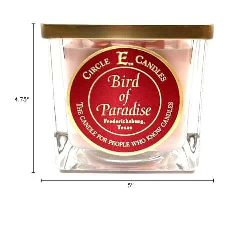 Circle E Candles, Bird of Paradise Scent, Large Size Jar Candle, 43oz, 4 Wicks