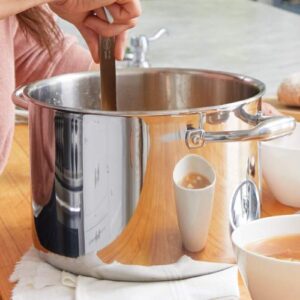 Brandless Stainless Steel Cookware (Brandless Stainless Steel Stock Pot with Lid)