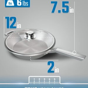 Dalstrong Frying Pan Skillet - 12 inch - The Oberon Series - 3-Ply Aluminum Core Cooking Pan - Premium Silver Kitchen Cookware - Omelet, Beef, Egg Pan - w/Lid & Pot Protector