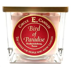 circle e candles, bird of paradise scent, large size jar candle, 43oz, 4 wicks