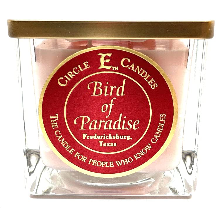 Circle E Candles, Bird of Paradise Scent, Large Size Jar Candle, 43oz, 4 Wicks