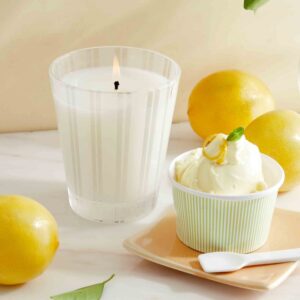 NEST New York Scented Classic Candle, Amalfi Lemon & Mint - 8.1 oz - Up to 60-Hour Burn Time - Reusable Glass Vessel