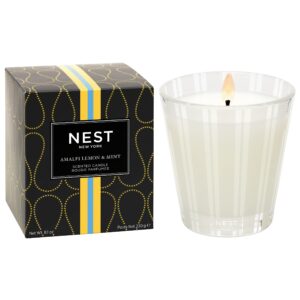 nest new york scented classic candle, amalfi lemon & mint - 8.1 oz - up to 60-hour burn time - reusable glass vessel