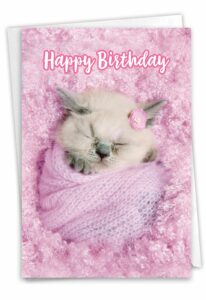 the best card company birthday greeting card with 5 x 7 inch envelope (1 card) bday fluffy furballs c7168abdg