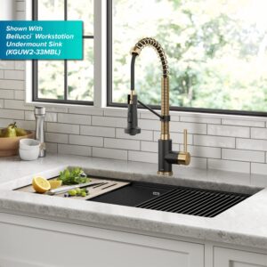 KRAUS Bolden Commercial Style 2-Function Single Handle Pull Down Kitchen Faucet in Brushed Gold, KPF-1610BG