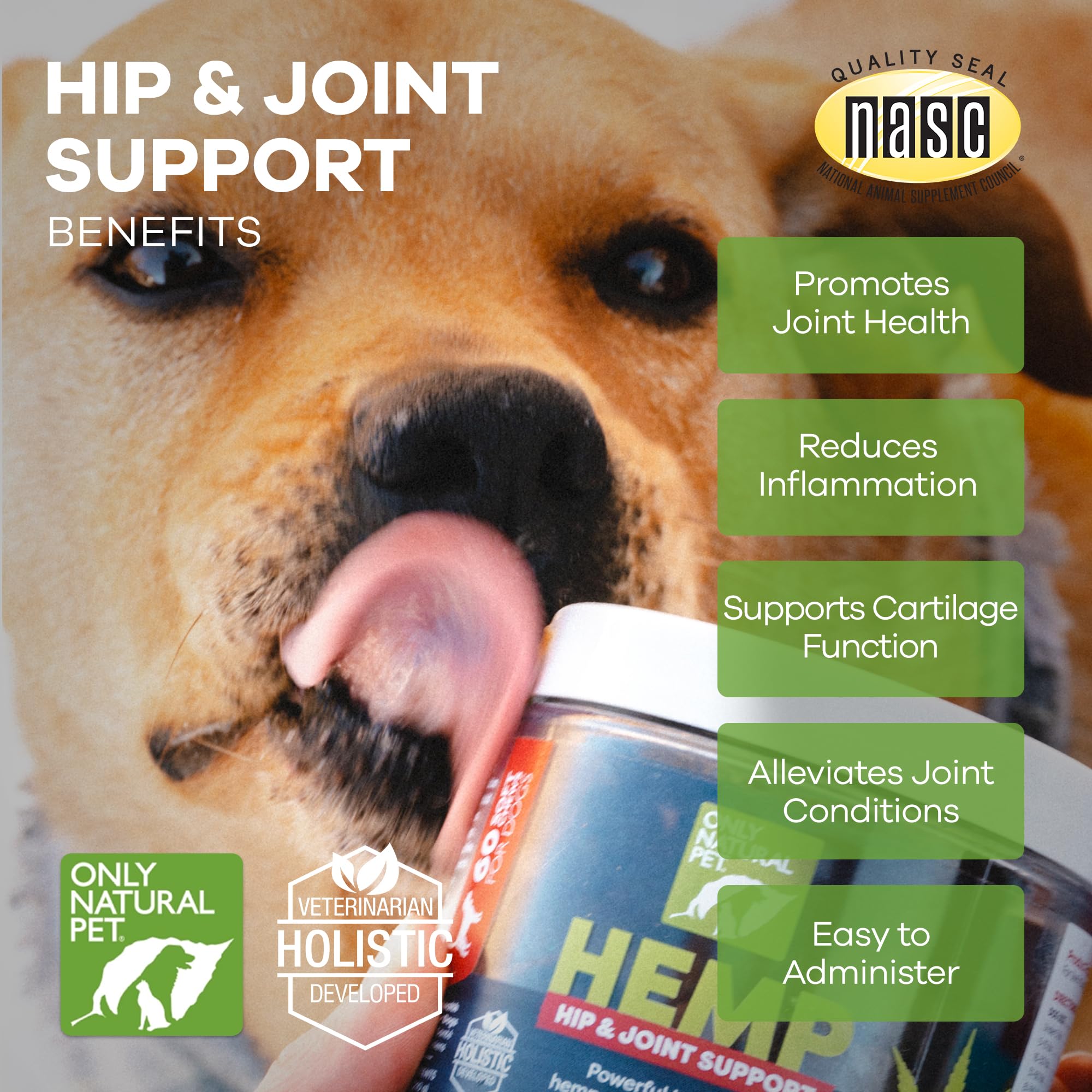 Only Natural Pet Hemp Hip & Joint Support for Dogs - Supplement for Mobility Wellness Pain Relief Healthy Inflammatory & Bone Stiffness - Chews w/Fatty Acid Blend Mussels & Turmeric - 60 Count